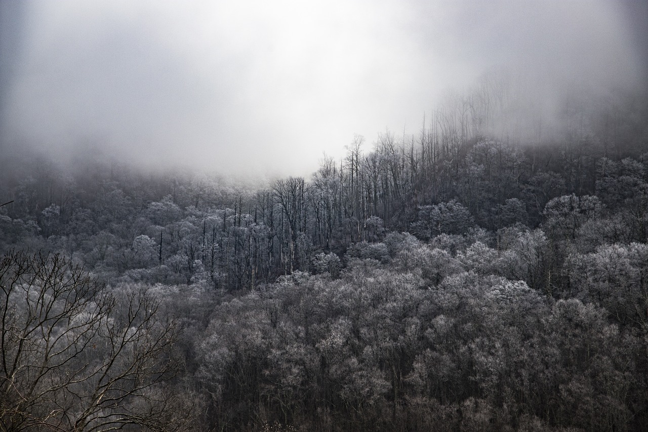 Smokey Mountain National Park - Free photo on Pixabay