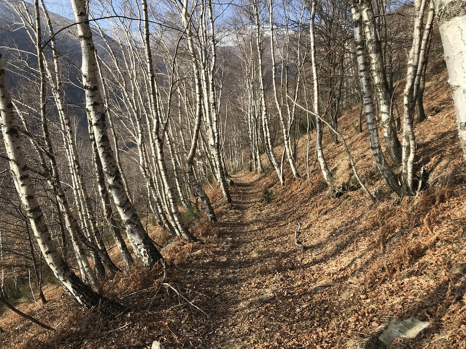 朝着山Ferraro 阿尔卑斯山的路线 阿尔卑斯山 - Pixabay上的免费照片 - Pixabay