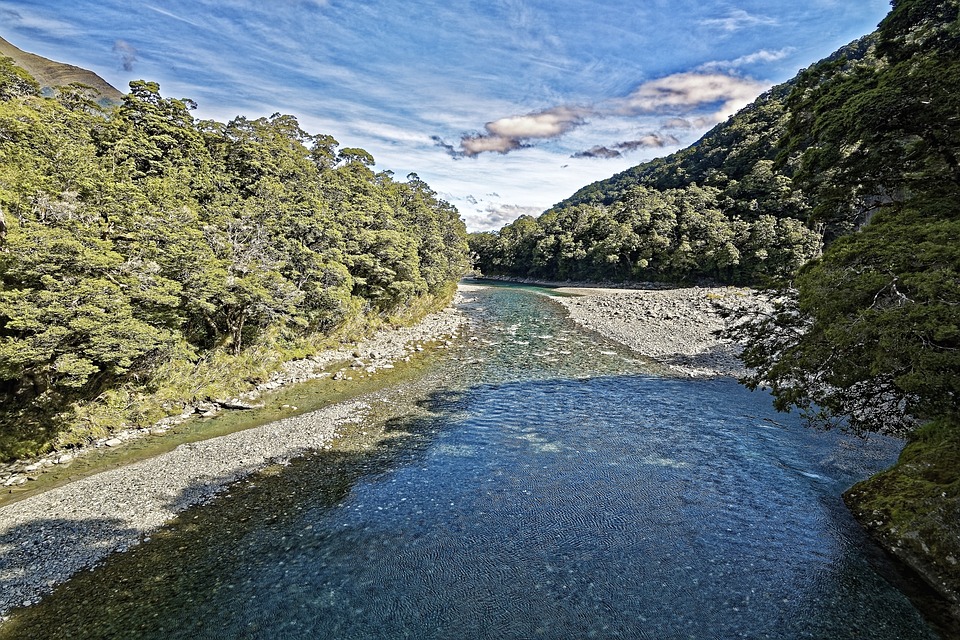 New Zealand Makarora Floden Flyde - Gratis foto på Pixabay - Pixabay