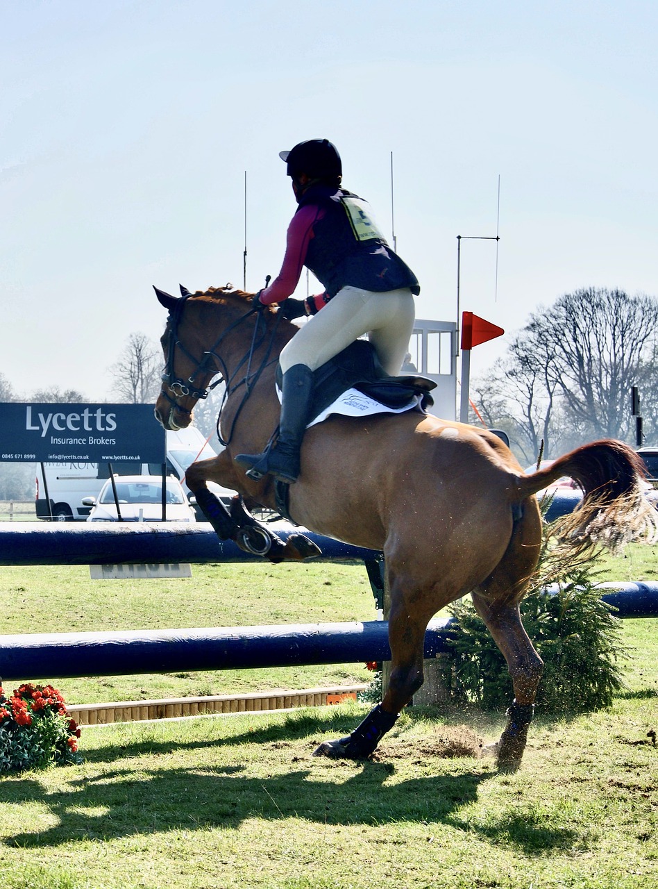 Jump Equestrian Competition - Free photo on Pixabay