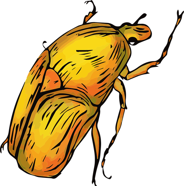 Page 2 - Over 500 Free Bug Vectors - Pixabay