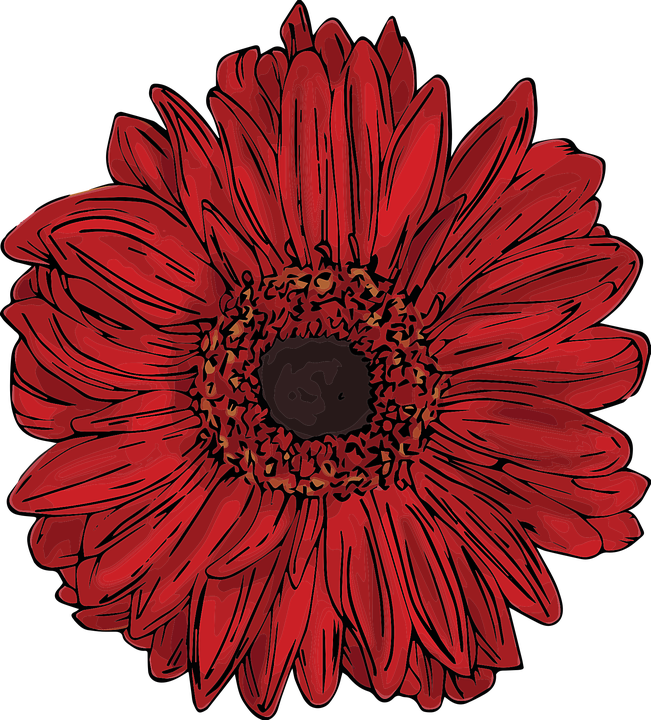 Download Red, Flower, Gerbera. Royalty-Free Vector Graphic - Pixabay