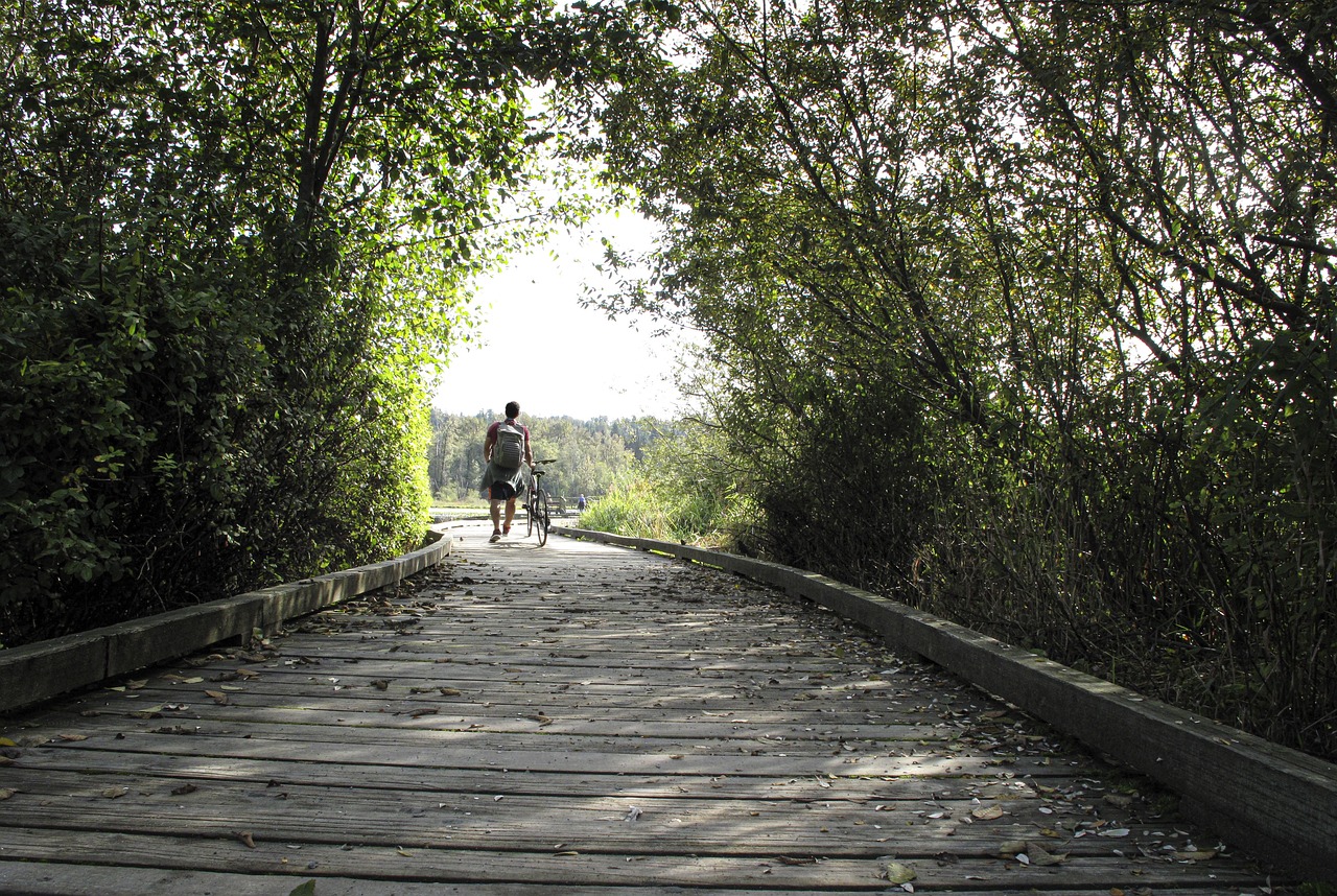 Trail Park Nature - Free photo on Pixabay - Pixabay