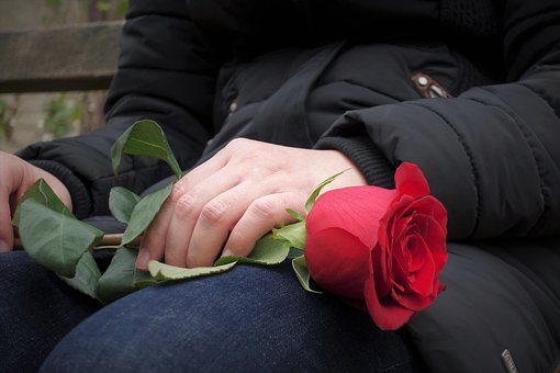 40+ Free Rose In Hand & Love Images - Pixabay