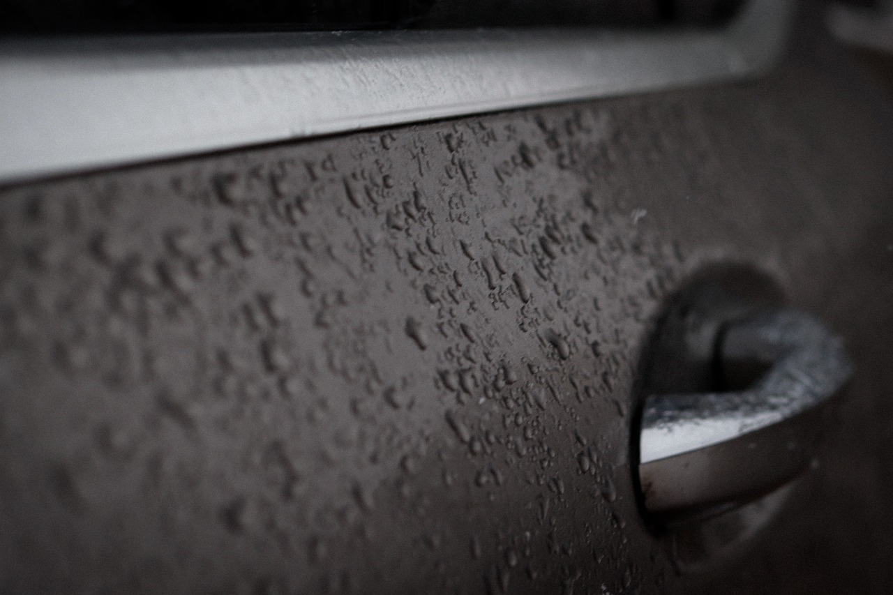 100+ Free Wet Car & Wet Images - Pixabay