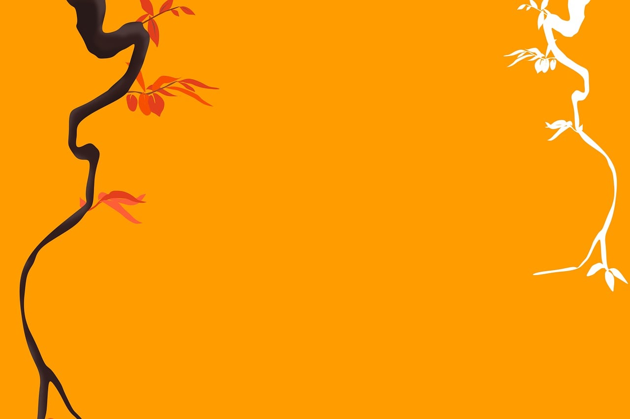 Spring Season Fall - Free image on Pixabay