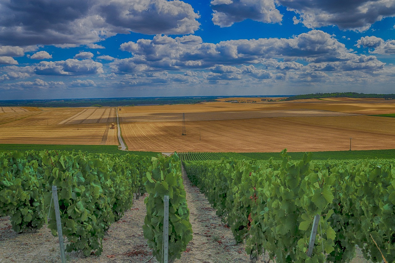 Paysage Vignes Champagne - Photo gratuite sur Pixabay - Pixabay