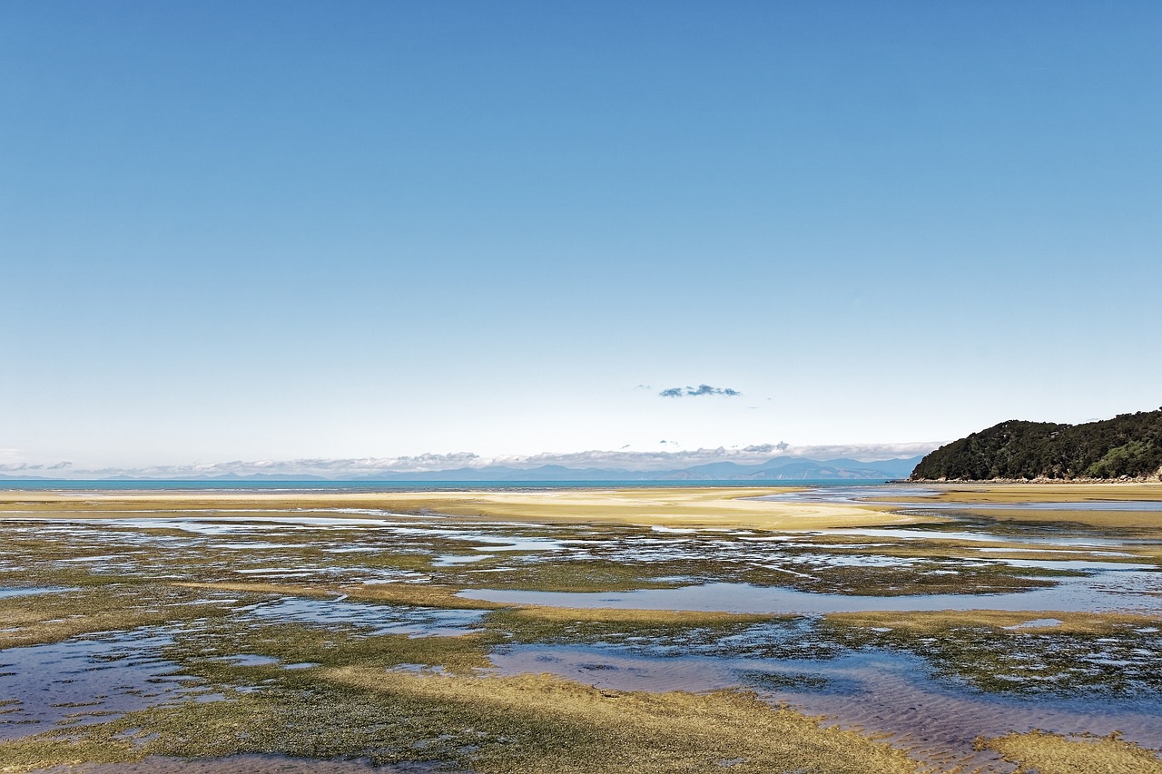 New Zealand Sandy Bay - Free photo on Pixabay