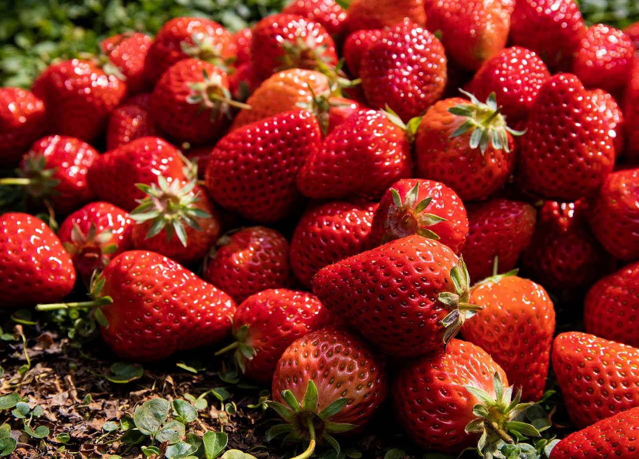 Strawberry Food Fruit - Free photo on Pixabay