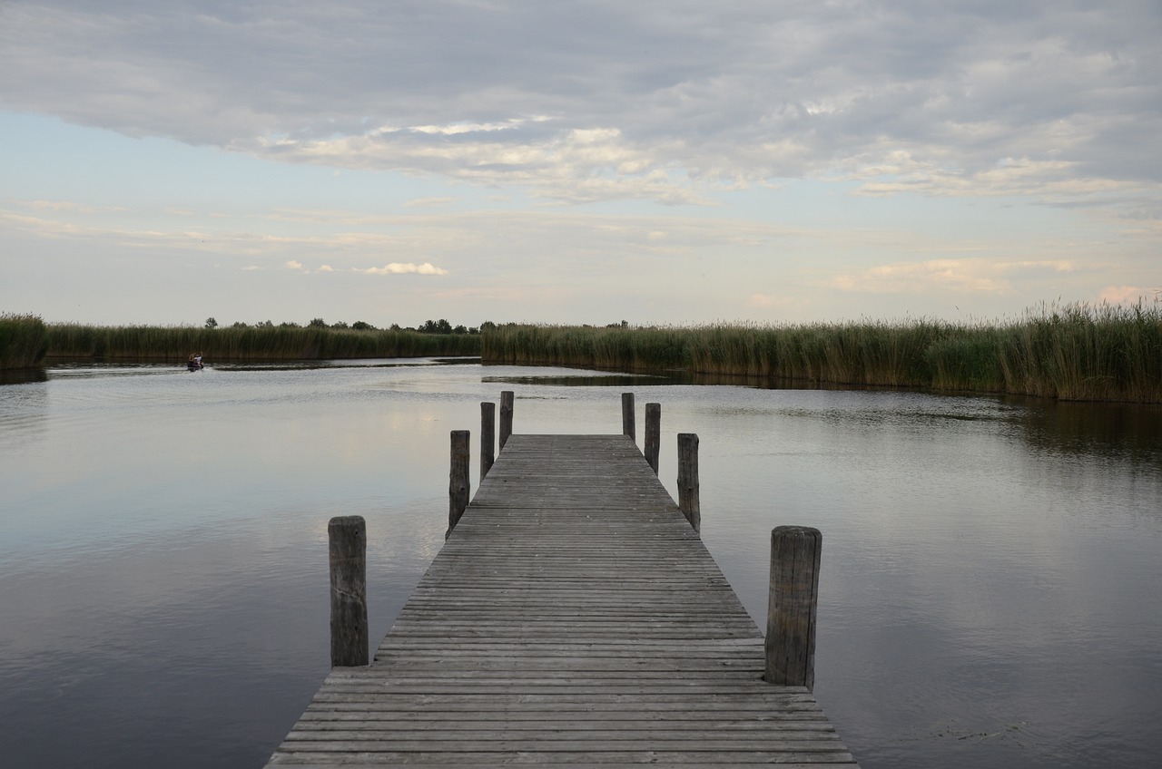 Lake Neusiedl Web - Free photo on Pixabay