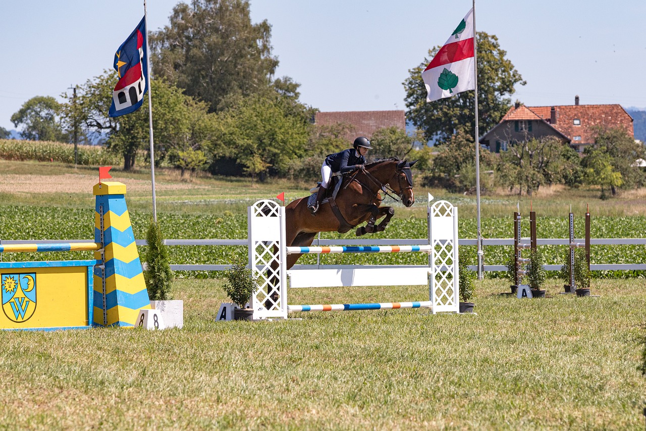 Saltar Caballo Salto - Foto gratis en Pixabay - Pixabay
