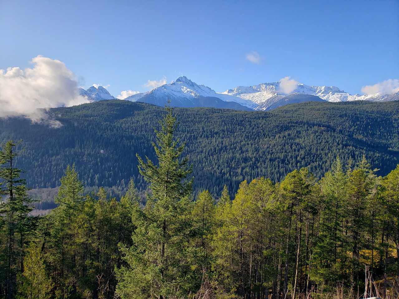 Montagne Forêt Nature Des - Photo gratuite sur Pixabay - Pixabay