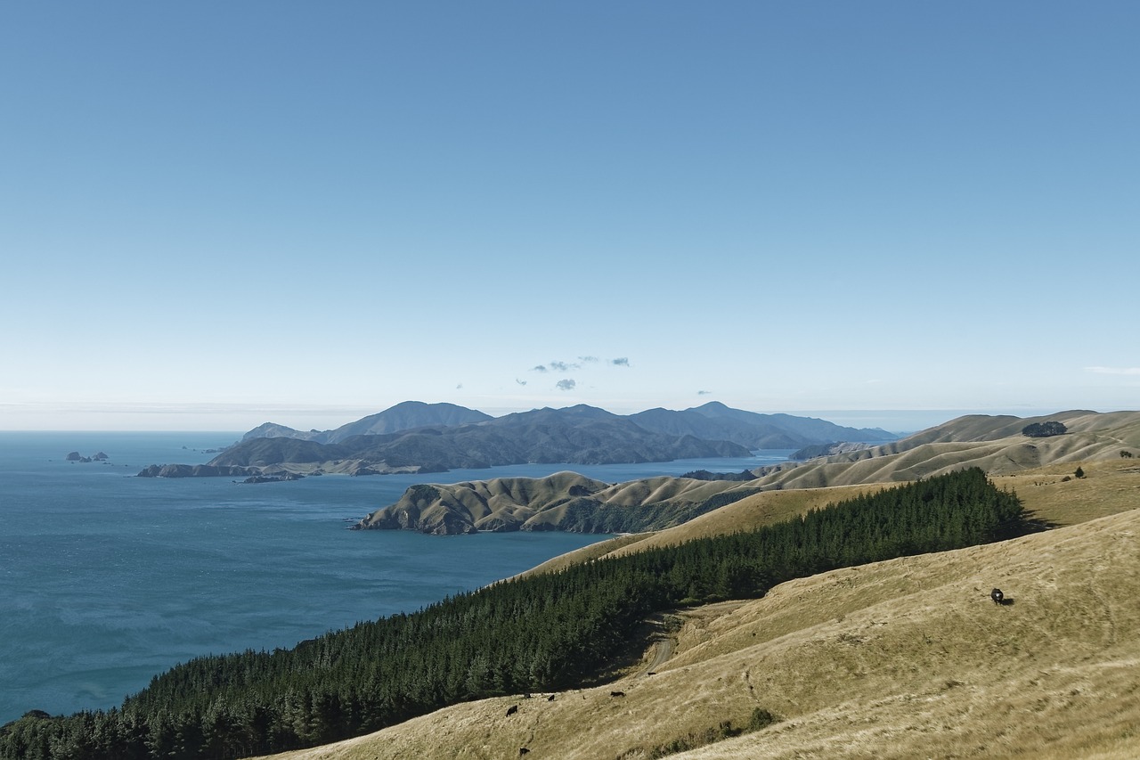 Neuseeland Waikawa Bay Bucht - Kostenloses Foto auf Pixabay