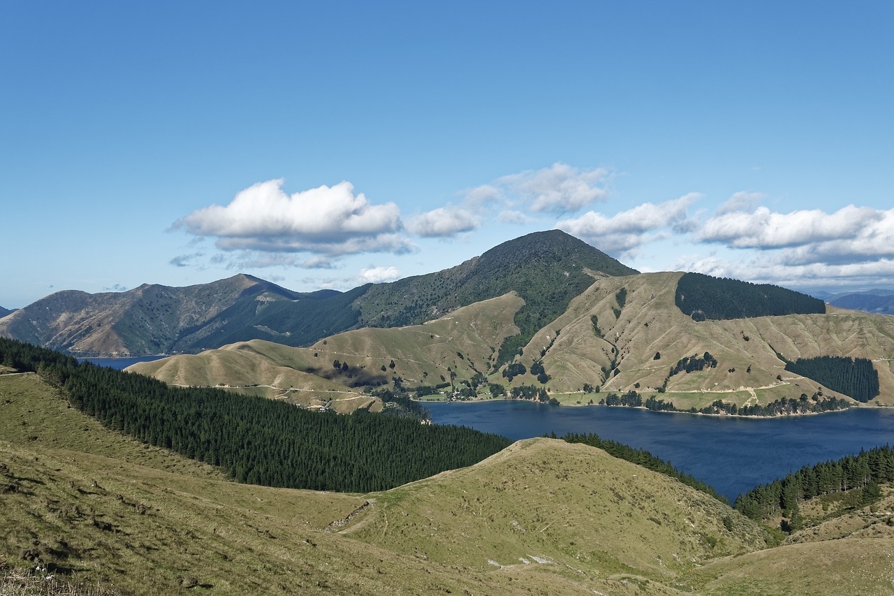 New Zealand Cissy Bay - Free photo on Pixabay - Pixabay