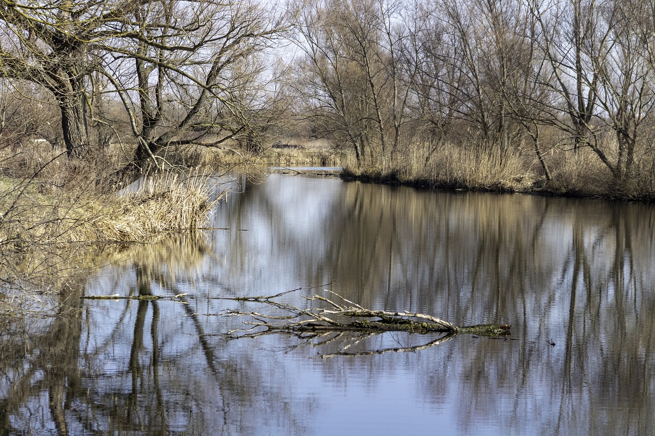 Landscape River Water - Free photo on Pixabay