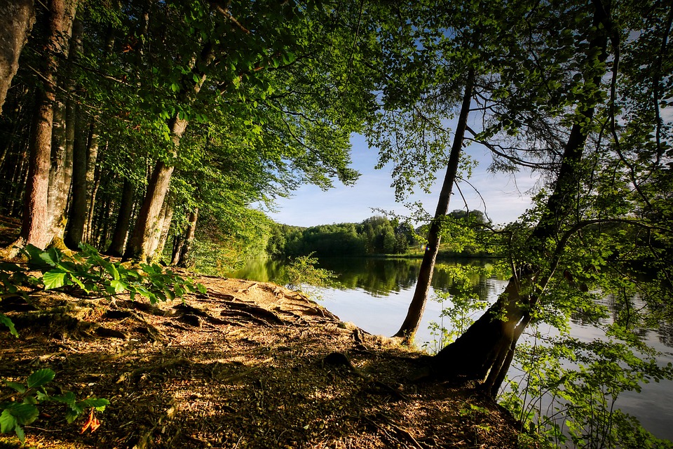 Lake Landscape Nature - Free photo on Pixabay