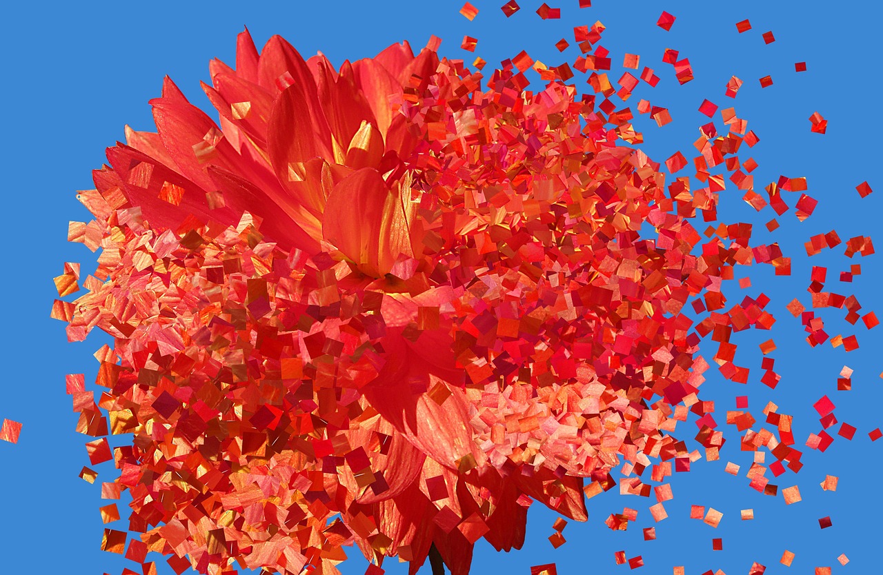 Flower Dispersion Red - Free photo on Pixabay - Pixabay