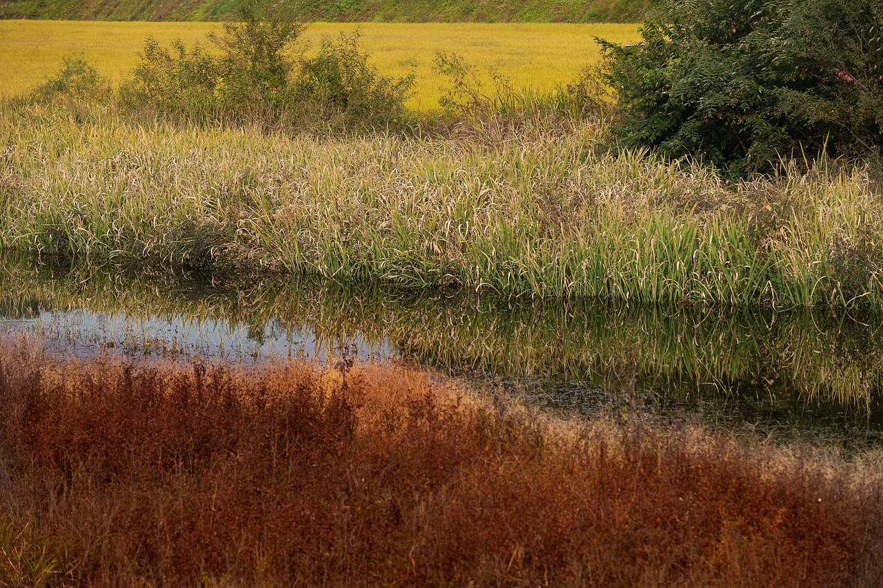 Autumn Reflection Farm - Free photo on Pixabay
