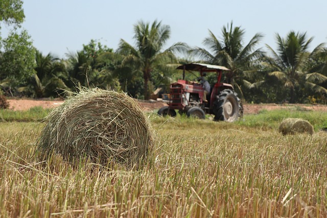 3+ Gambar Traktor Di Sawah & Petani Gratis - Pixabay