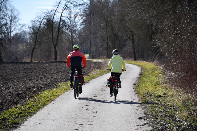 Bicycle Cyclist Path - Free photo on Pixabay - Pixabay