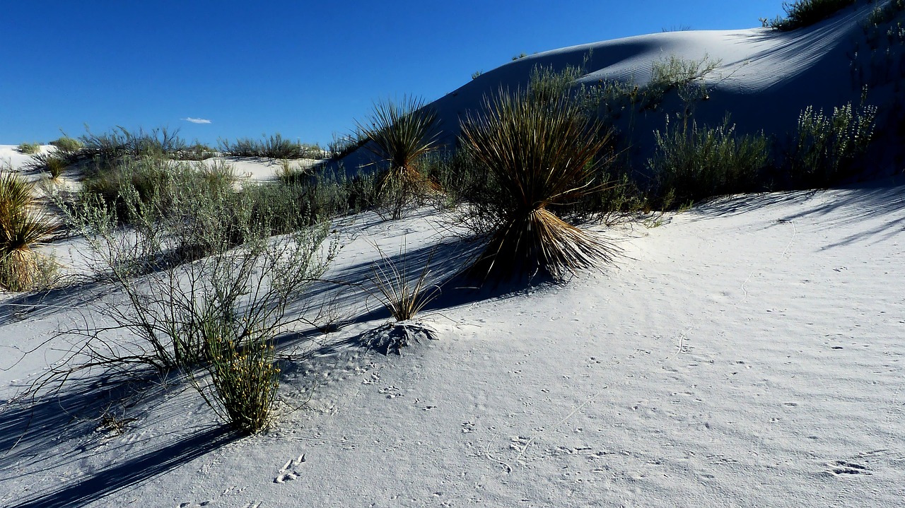 Nature Desert Sand - Free photo on Pixabay - Pixabay