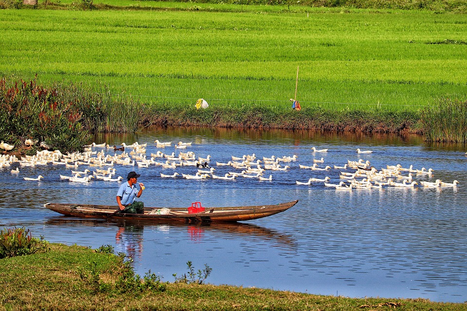Vietnam Da Nang Manusia Perahu - Foto gratis di Pixabay - Pixabay