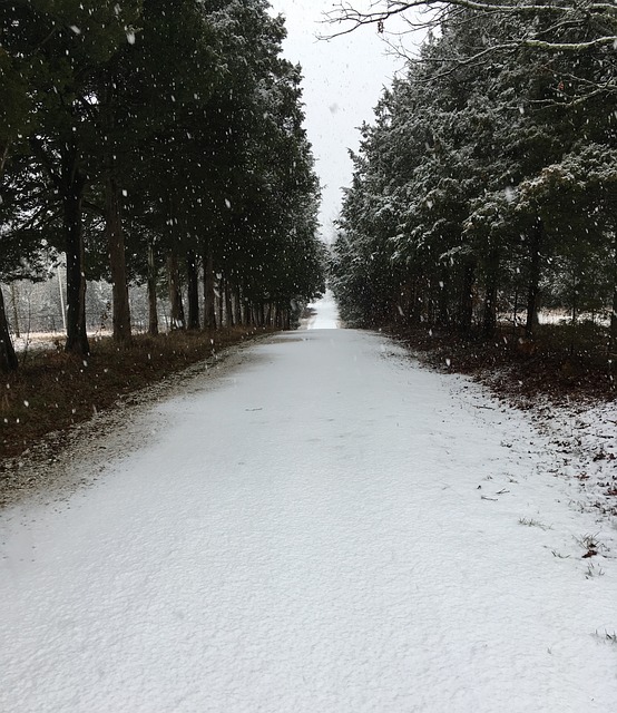 Country Road Snow - Free photo on Pixabay
