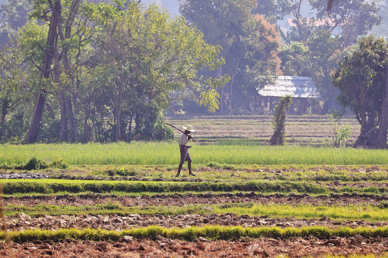 300+ Free Peasant & Farmer Images - Pixabay