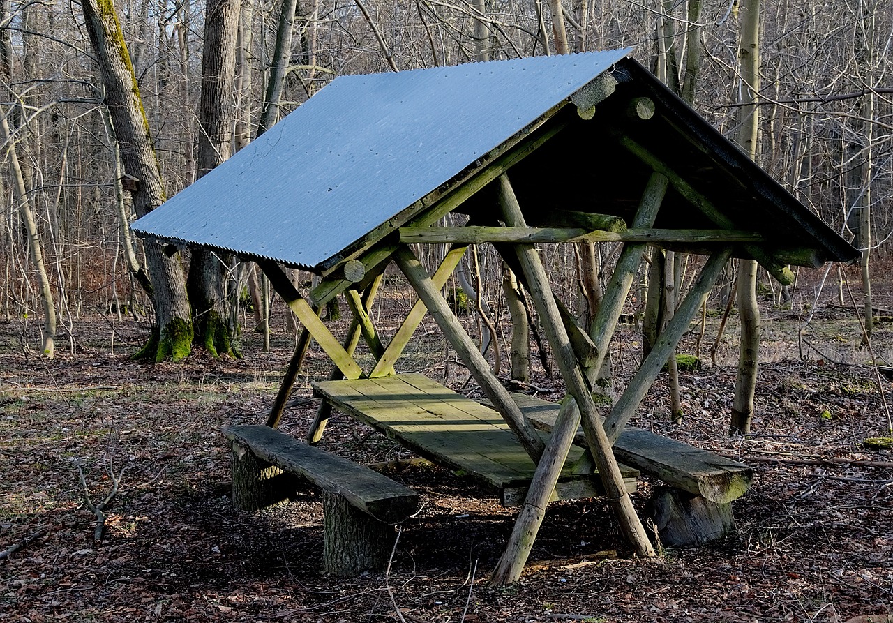 Lieu De Repos Relever Forêt - Photo gratuite sur Pixabay - Pixabay