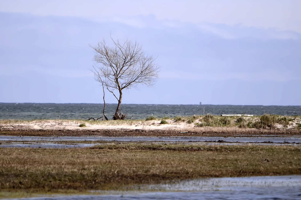 Sea Water Beach - Free photo on Pixabay