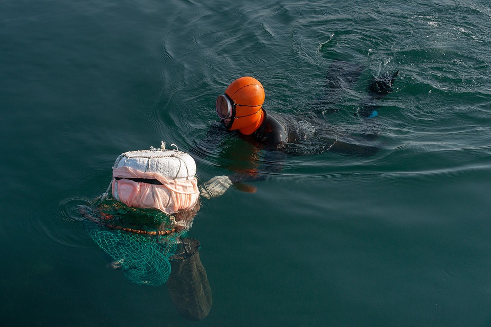 Korean Female Diver Sea Fishing - Free photo on Pixabay