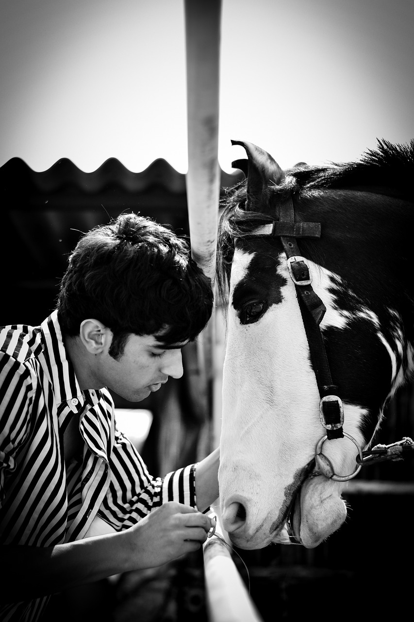 Male Model On Horse - Free photo on Pixabay - Pixabay