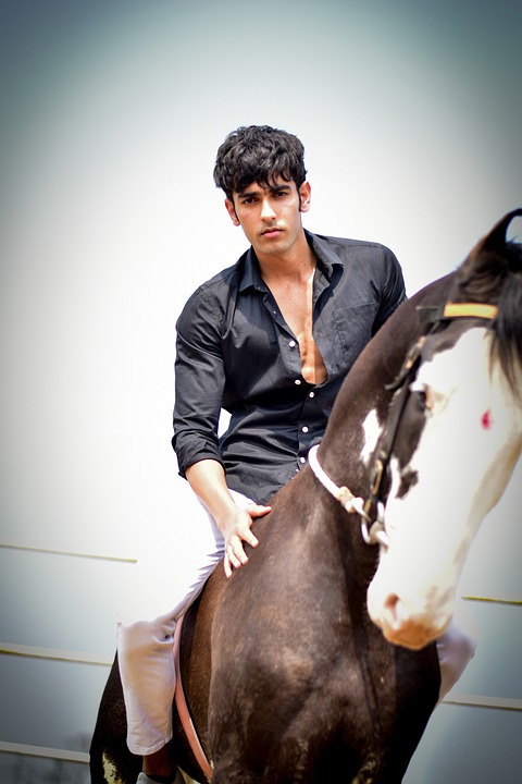 Male Model On Horse - Free photo on Pixabay - Pixabay