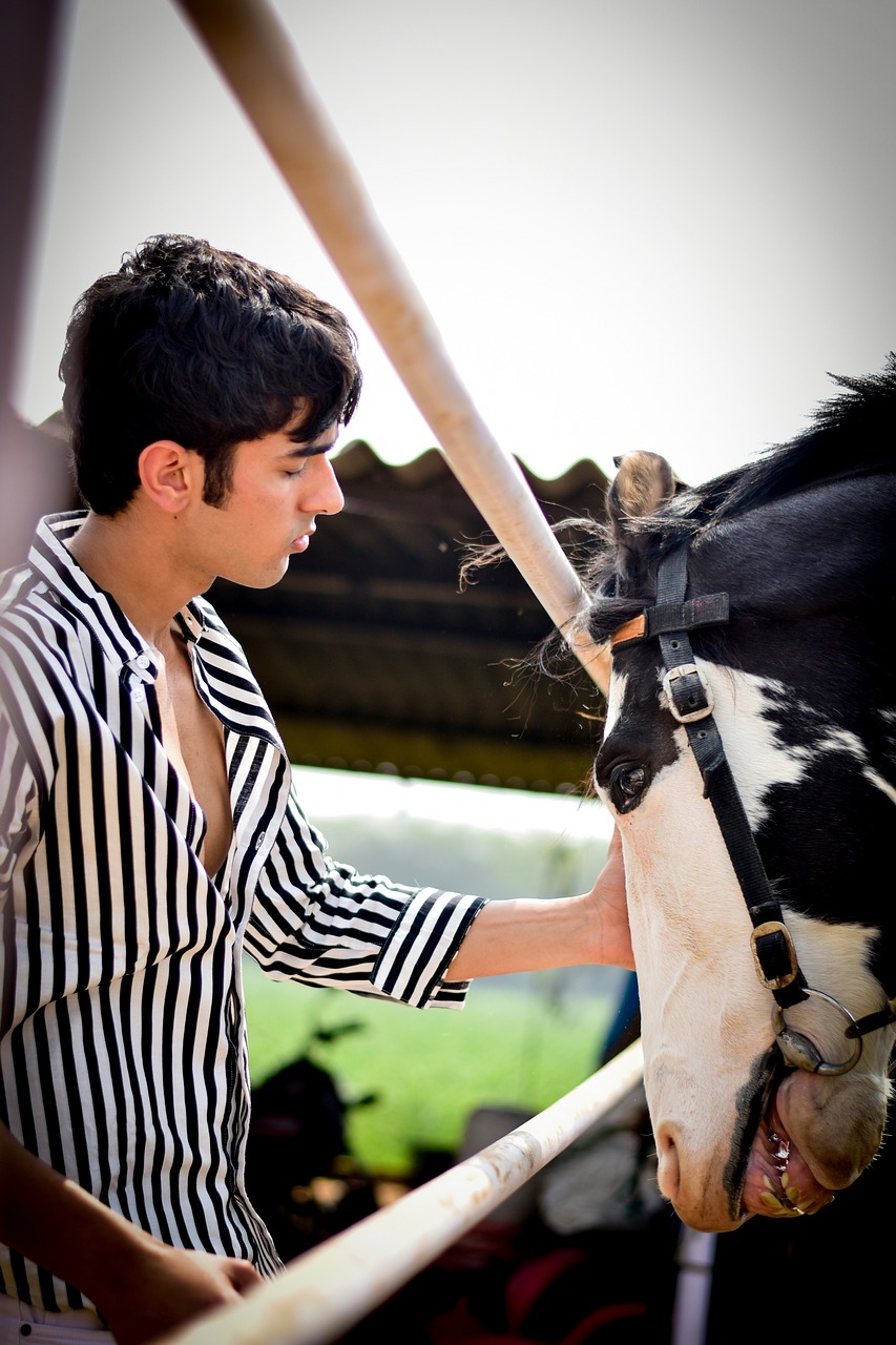 Male Model On Horse - Free photo on Pixabay