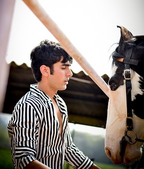 20+ Free Jockey On Horse & Jockey Images - Pixabay