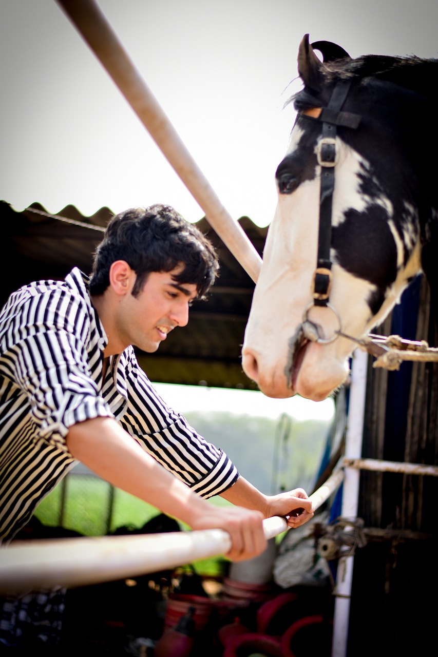 Model Masculin Modelul Pe - Fotografie gratuită pe Pixabay - Pixabay