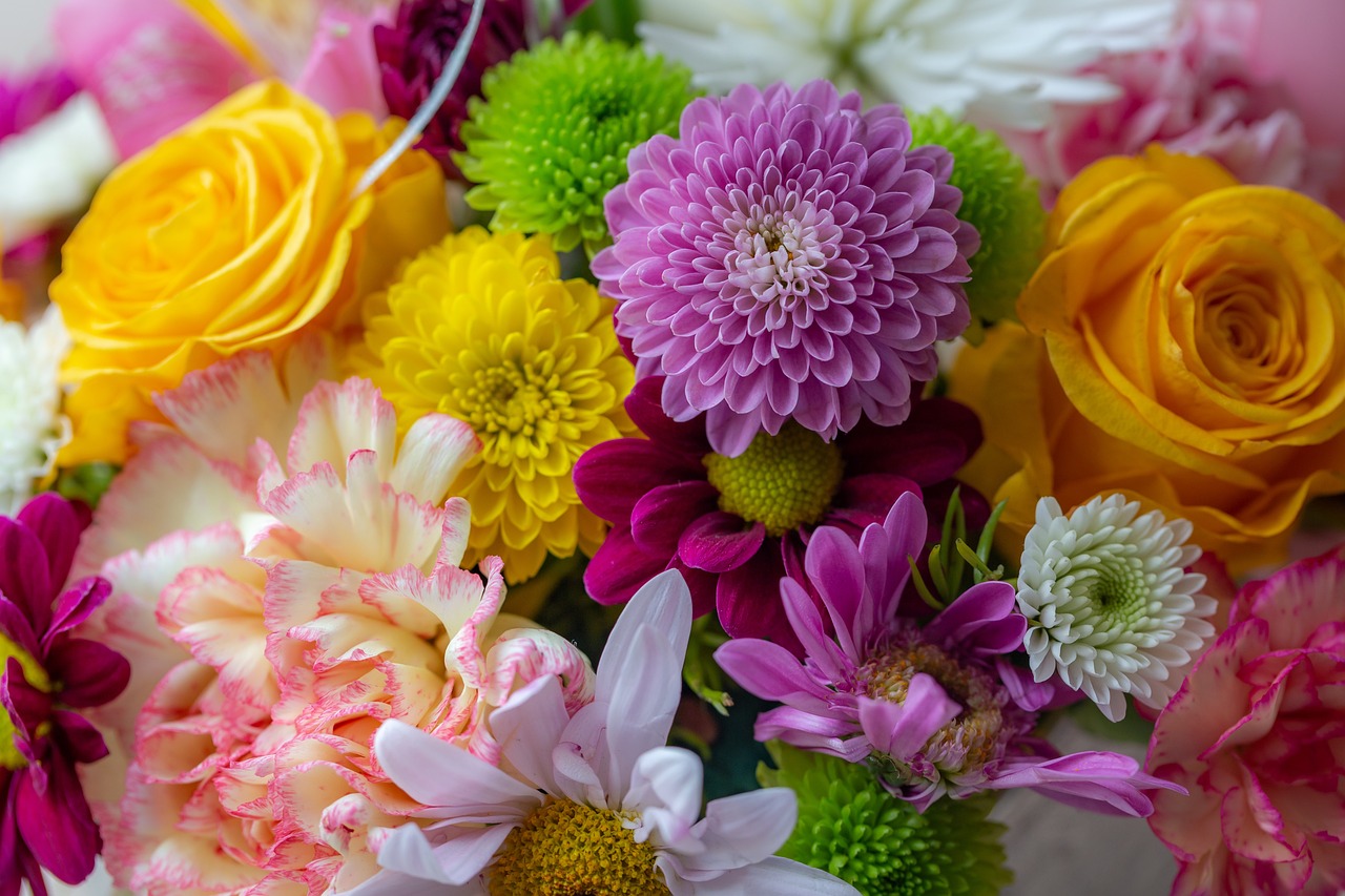 Flowers Color Spring - Free photo on Pixabay