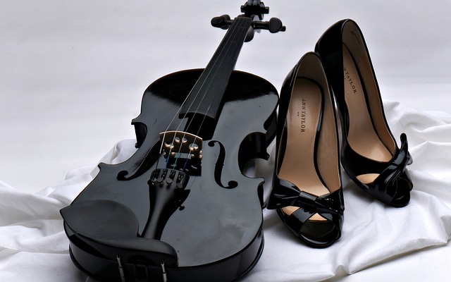 Violon Instrument La Musique - Photo gratuite sur Pixabay - Pixabay