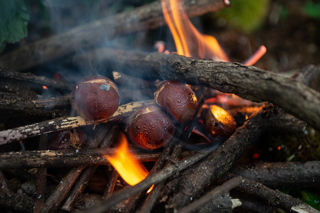 Roasted Chestnut Fire Food - Free photo on Pixabay - Pixabay