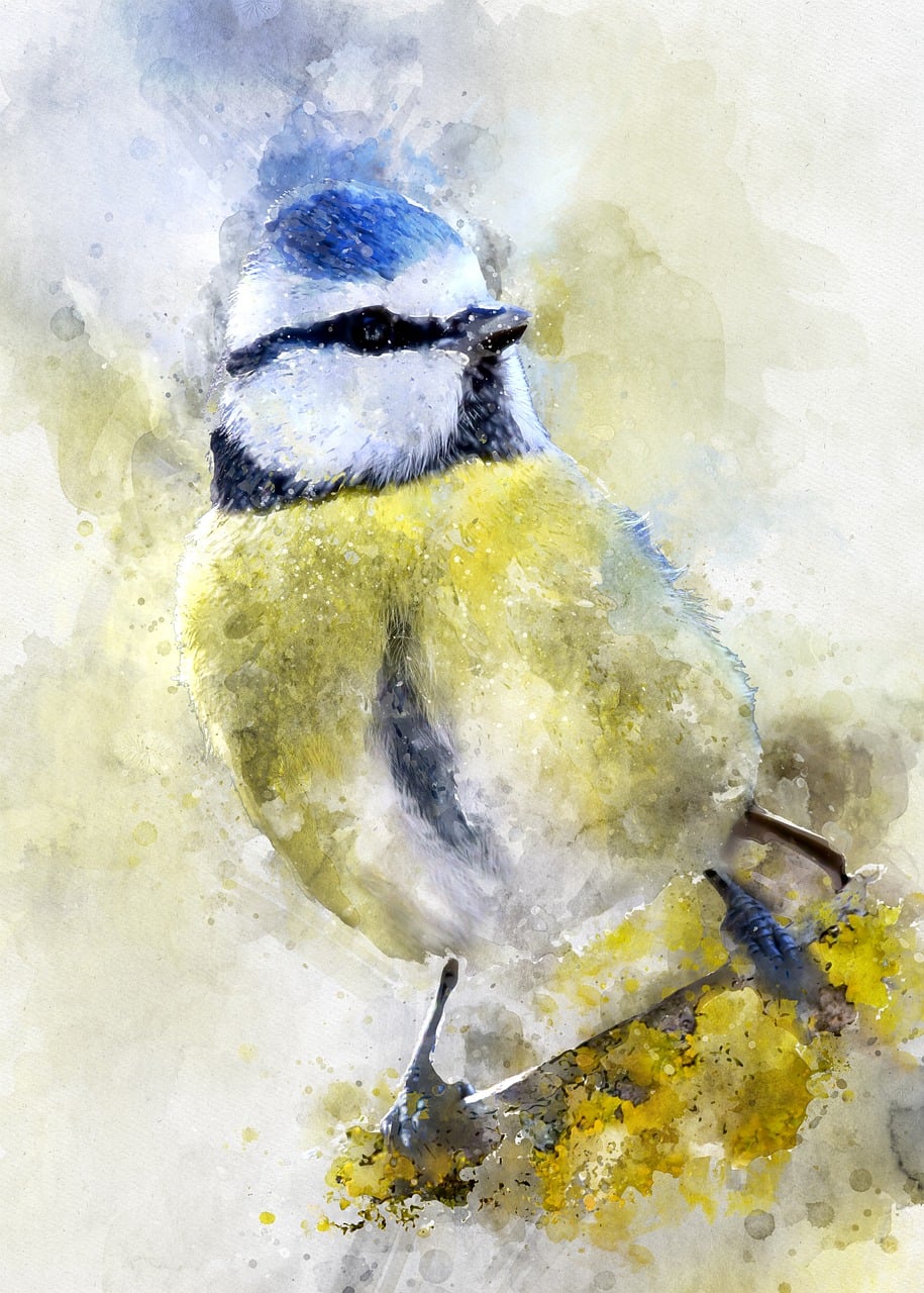 100,000+ Free Blue Tit & Nature Images - Pixabay