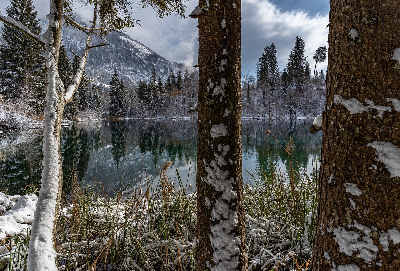 Lake Cresta Graubünden Switzerland - Free photo on Pixabay - Pixabay