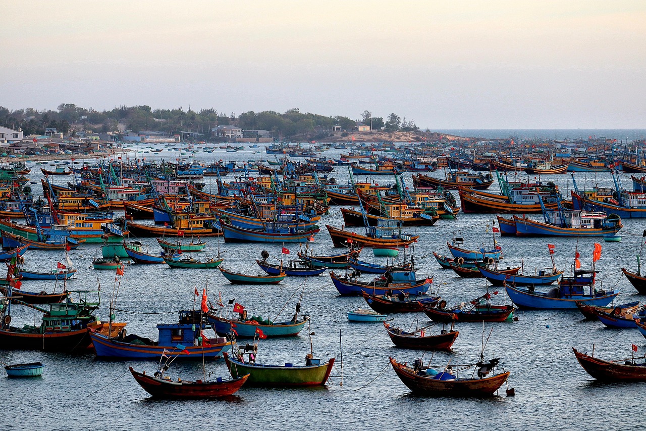 100+ Free Desastres Ne & Mui Ne Images - Pixabay