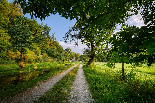 Weg Schatten Landschaft - Kostenloses Foto auf Pixabay