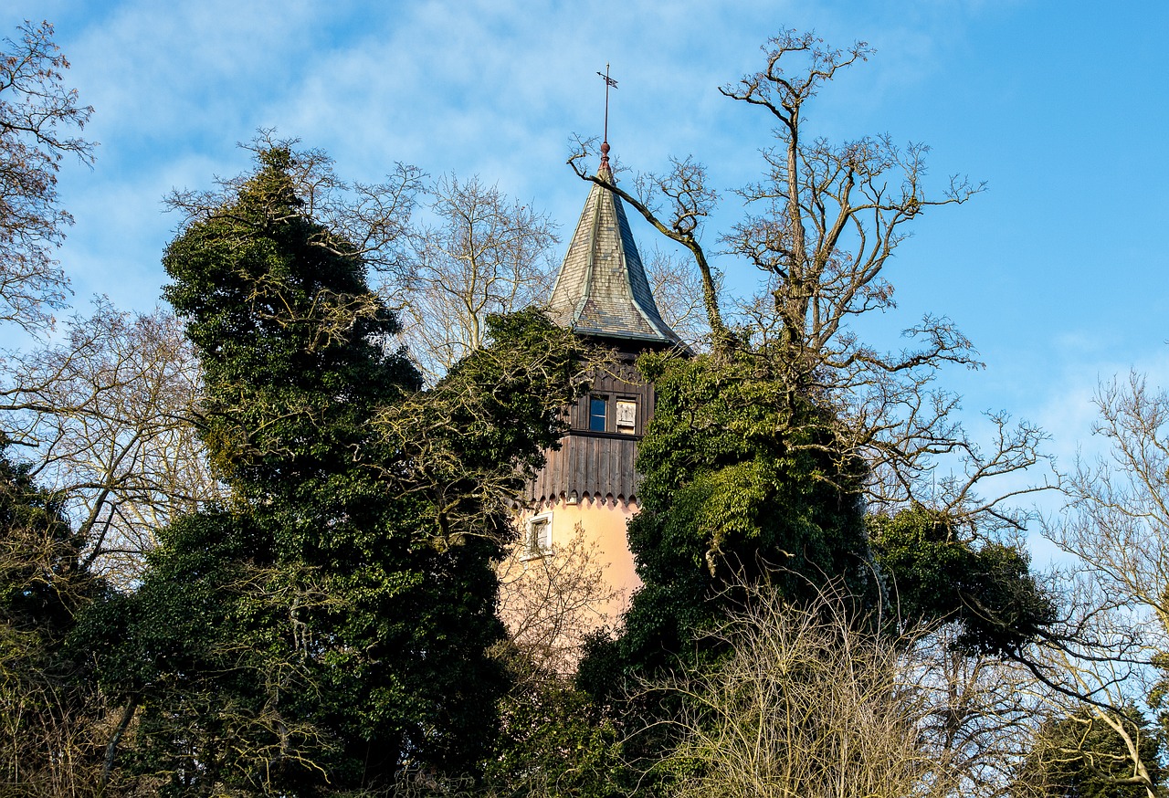 Swedish Tower Trees Lake - Free photo on Pixabay - Pixabay