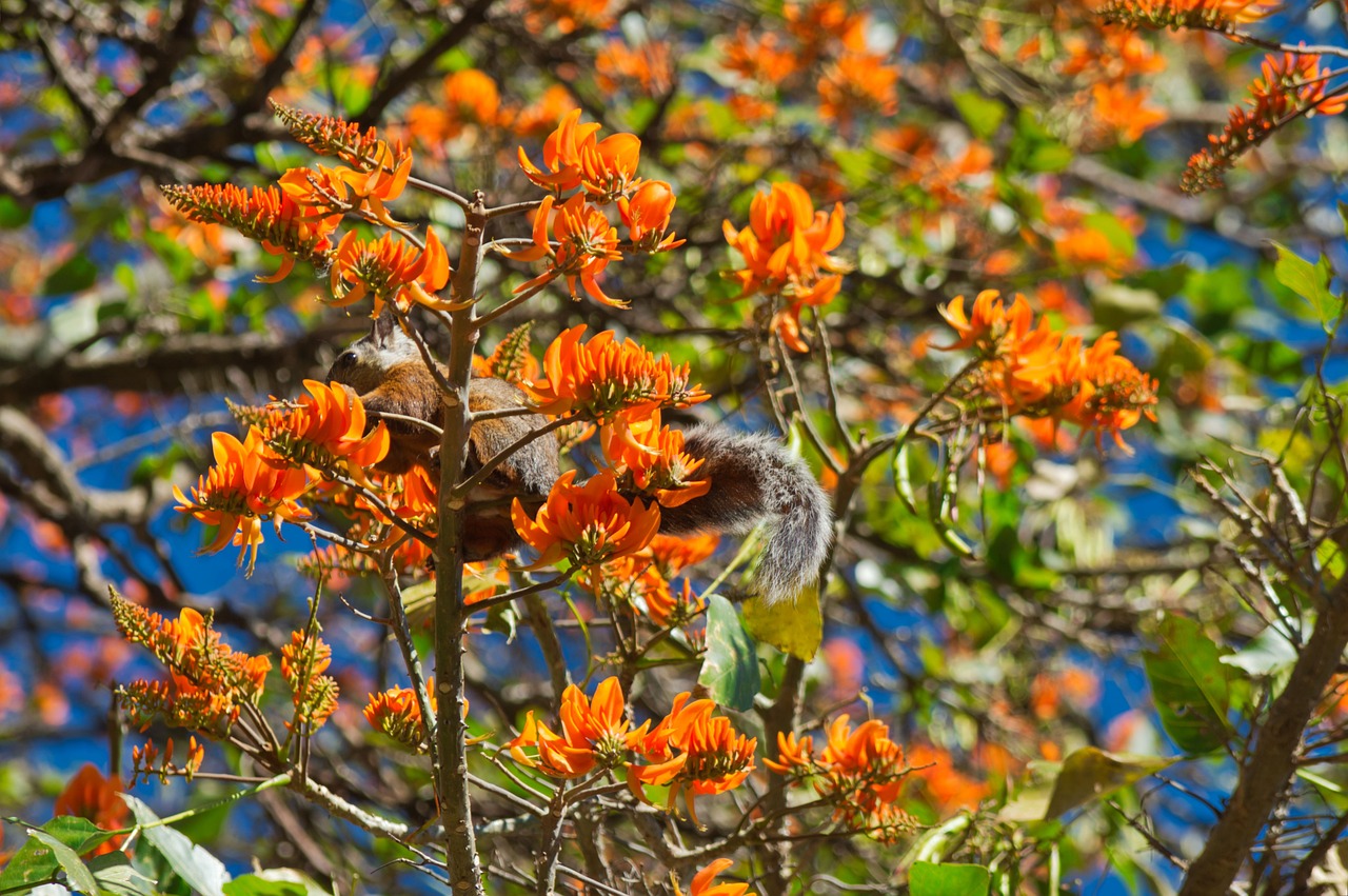 Costa Rica Trunk Wood - Free photo on Pixabay - Pixabay