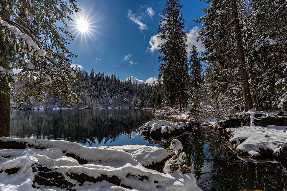Lake Cresta Graubünden Switzerland - Free photo on Pixabay - Pixabay