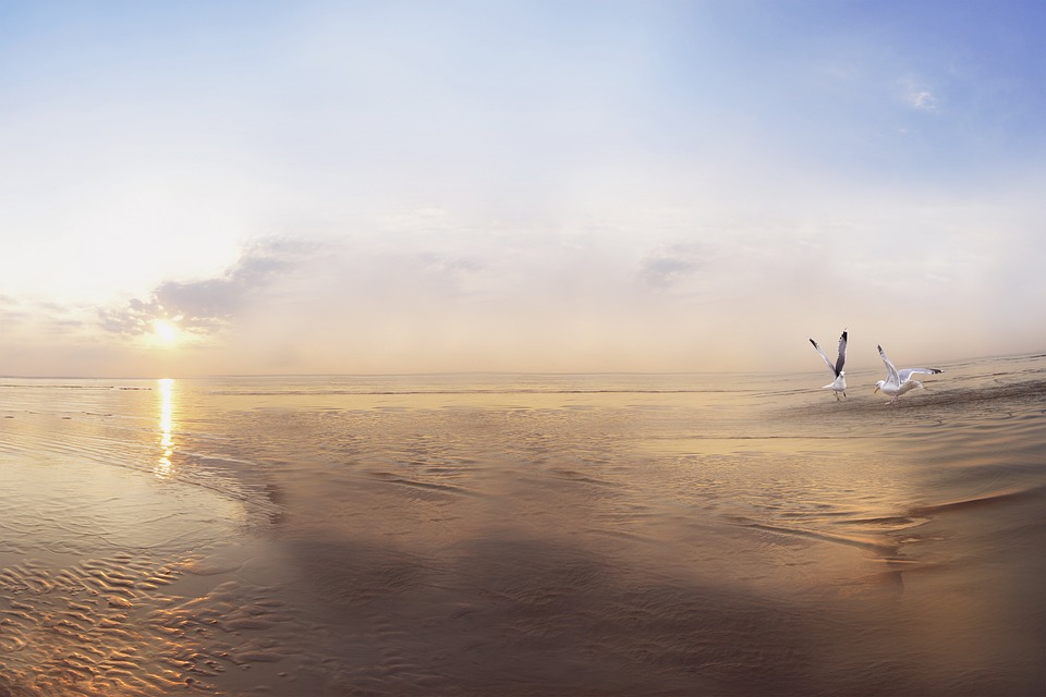 Mar Calmado Sol Puesta De - Foto gratis en Pixabay - Pixabay