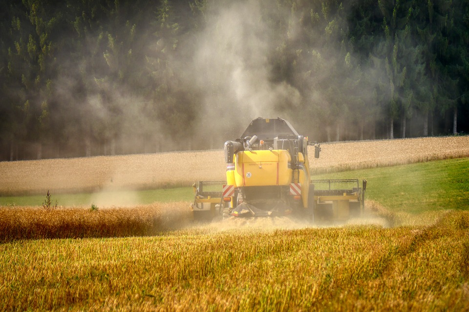 Harvest Fall Grain - Free photo on Pixabay - Pixabay