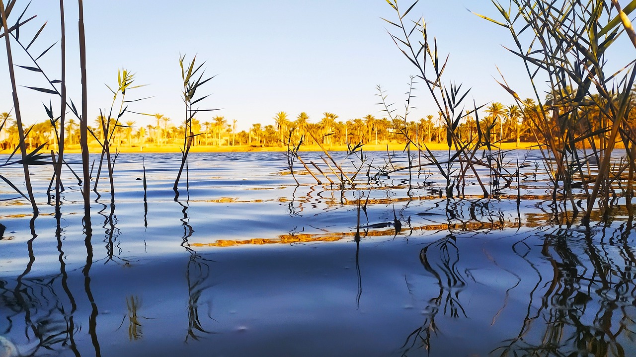 Lake Wasser Natur - Kostenloses Foto auf Pixabay - Pixabay
