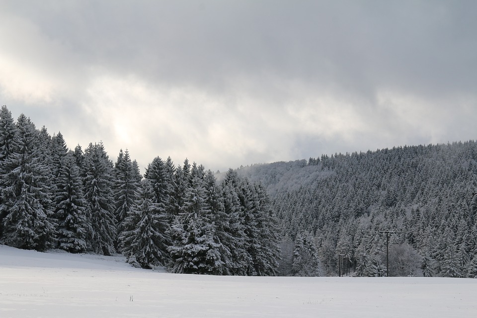Winter Landscape Storm - Free photo on Pixabay